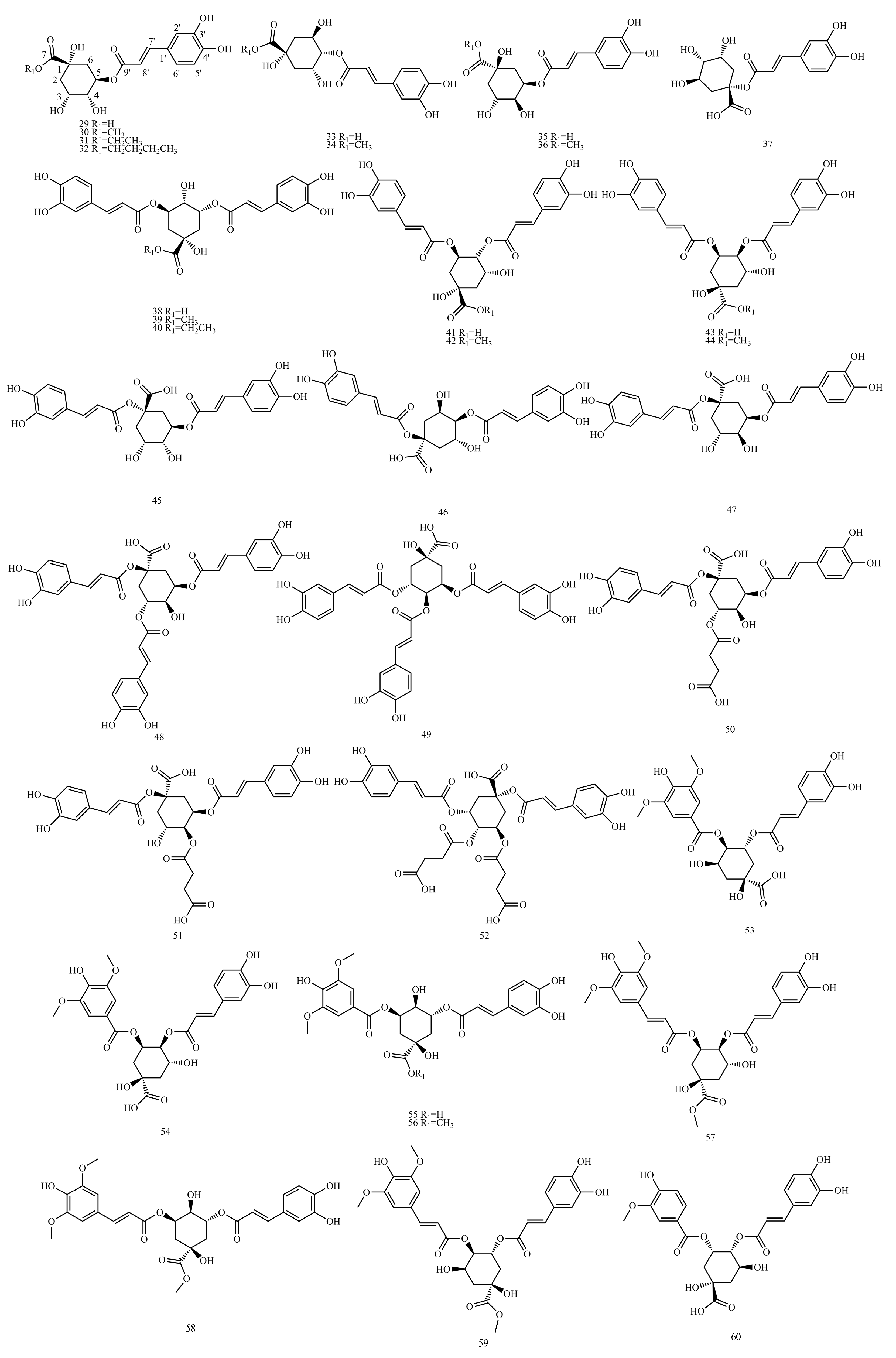 Plant-Derived Caffeic Acid and Its Derivatives: An Overview of Their ...