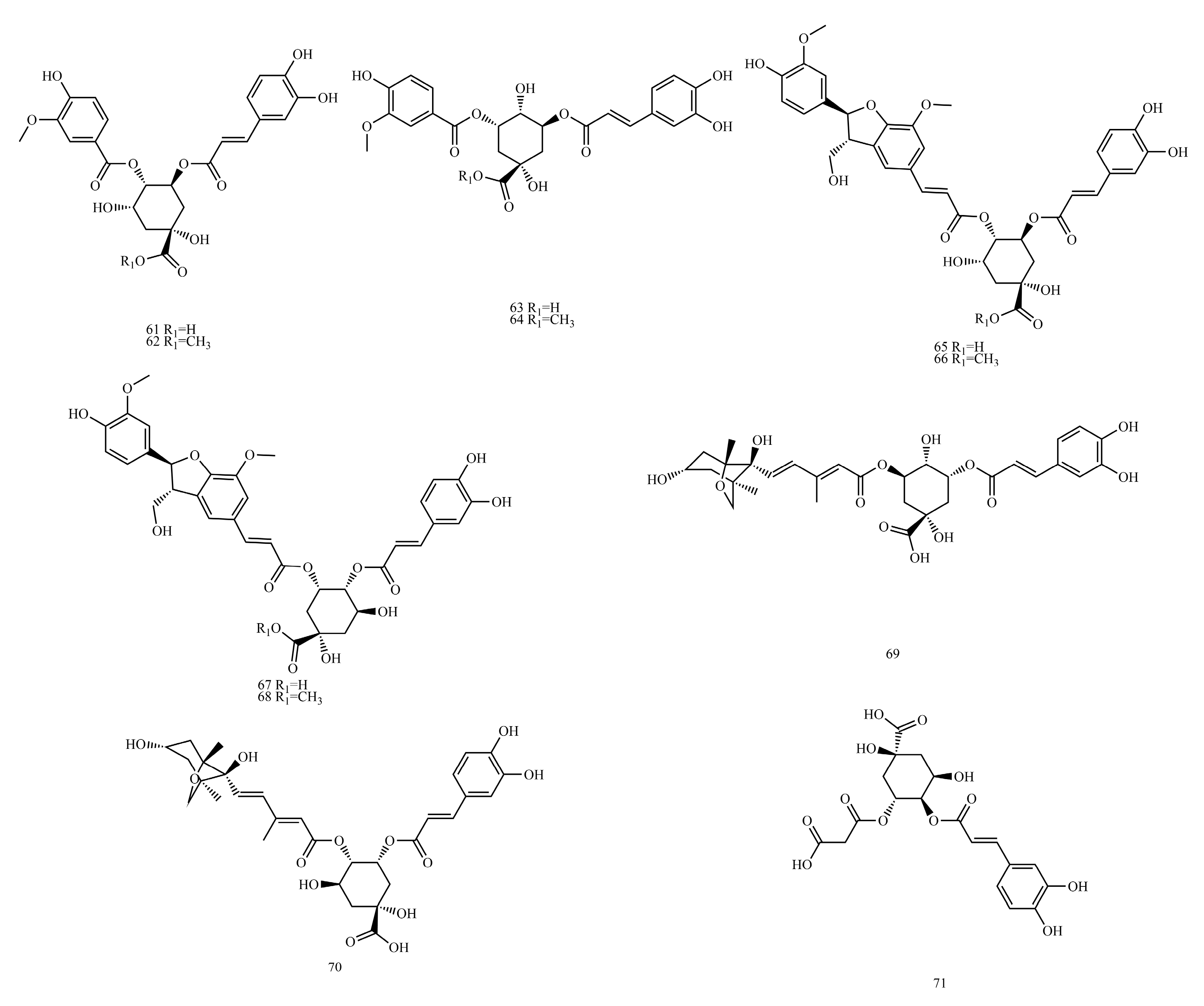 Plant-Derived Caffeic Acid and Its Derivatives: An Overview of Their ...
