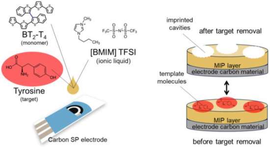 Green Synthesis of a Molecularly Imprinted Polymer Based on a Novel ...