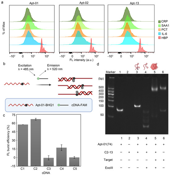 Screening and Application of DNA Aptamers for Heparin-Binding Protein