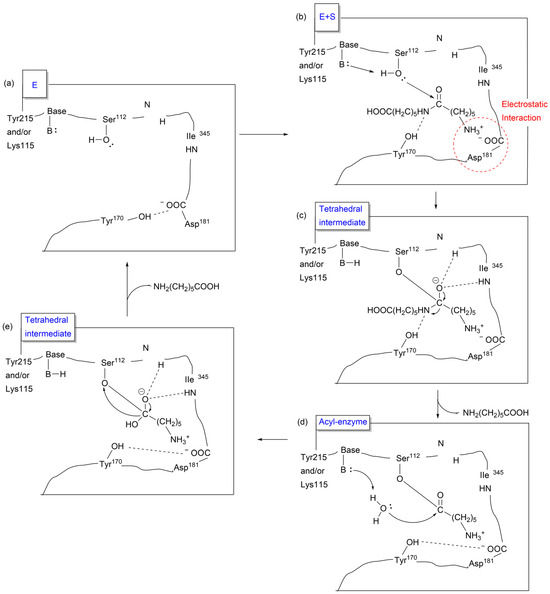 Recycling and Degradation of Polyamides
