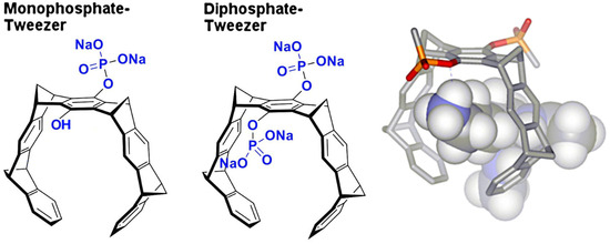 How Do Molecular Tweezers Bind to Proteins? Lessons from X-ray ...