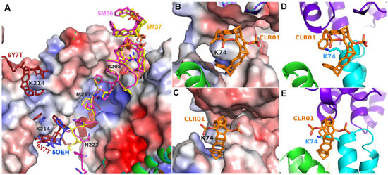 How Do Molecular Tweezers Bind to Proteins? Lessons from X-ray ...