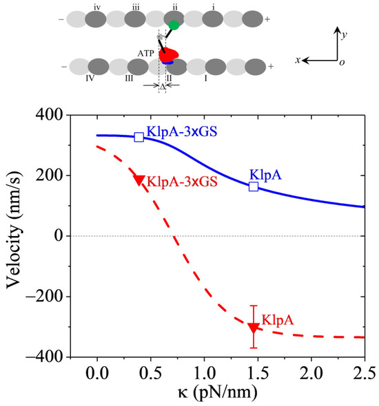 Modeling Studies of the Mechanism of Context-Dependent Bidirectional ...