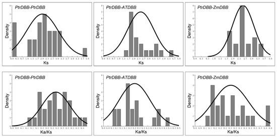 Molecules | Free Full-Text | The DBB Family in Populus trichocarpa ...