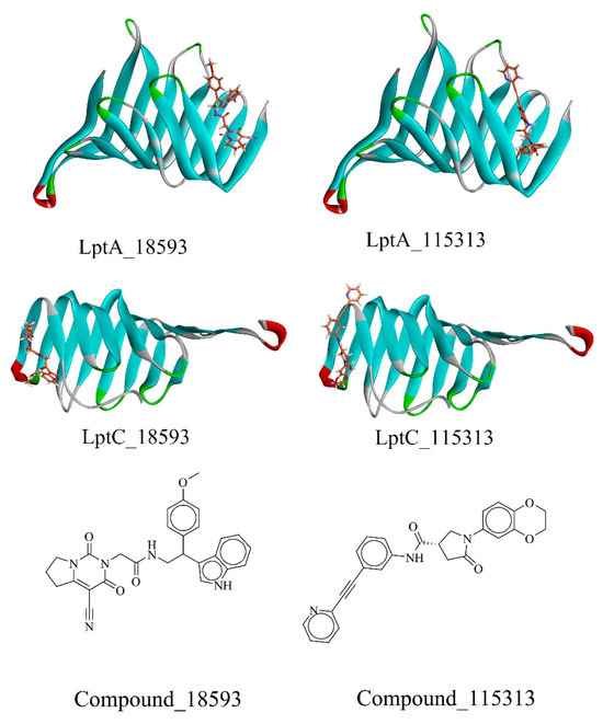 The Prediction of LptA and LptC Protein–Protein Interactions and ...