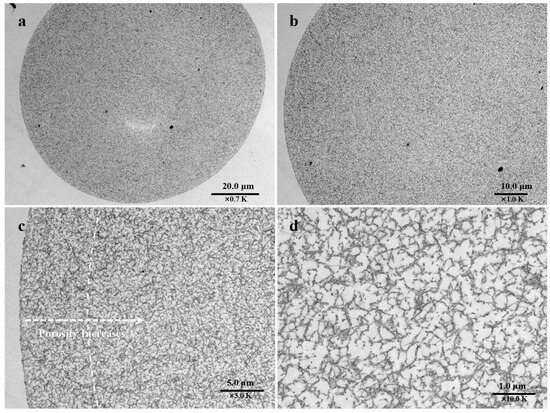 Isolation of Extracellular Outer Membrane Vesicles (OMVs) from ...
