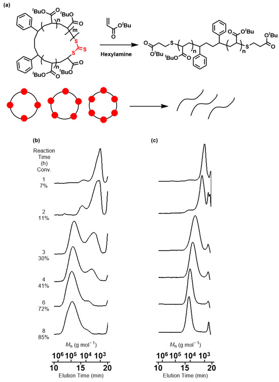 Development of Ring-Expansion RAFT Polymerization of tert-Butyl Acrylate with a Cyclic ...