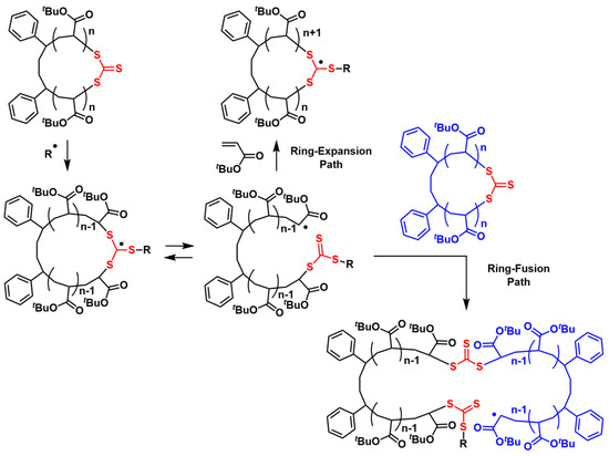 Development of Ring-Expansion RAFT Polymerization of tert-Butyl Acrylate with a Cyclic ...
