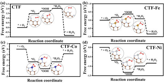 Spin-Steered Photosynthesis of H2O2 in Magnetic Single-Atom Modified ...