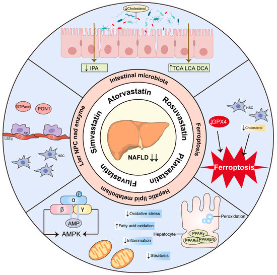 Molecules | Free Full-Text | A Systematic Review of Statins for the ...