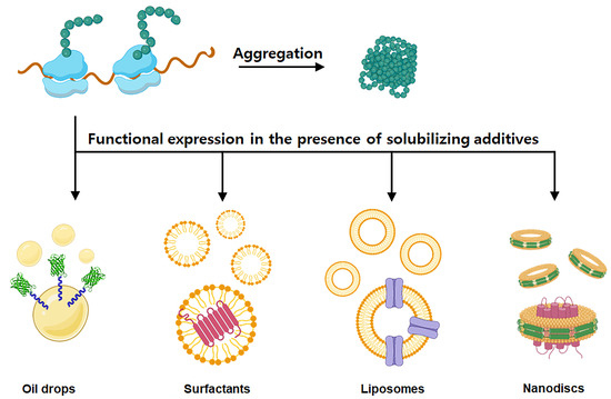 Cell-Free Synthesis: Expediting Biomanufacturing of Chemical and ...