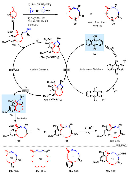 Skeletal Editing: Ring Insertion for Direct Access to Heterocycles