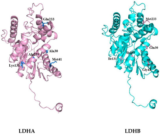 Molecules | Free Full-Text | Exploring the Key Amino Acid Residues ...