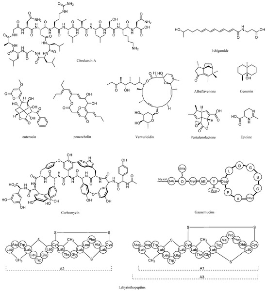 Integrative Genomics and Bioactivity-Guided Isolation of Novel ...