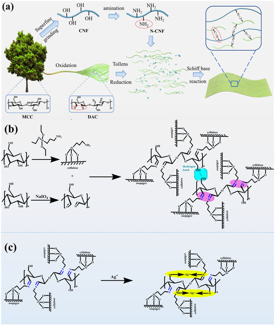 Enhancing Mechanical and Antimicrobial Properties of Dialdehyde ...