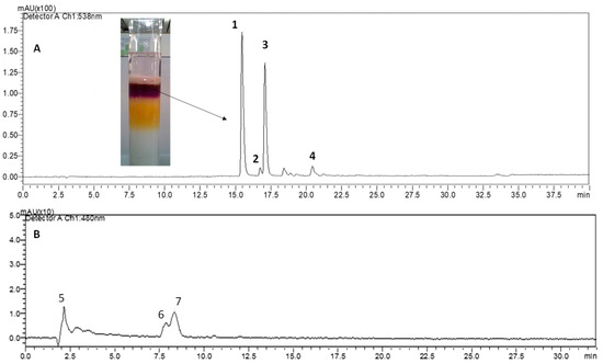 Semisynthesis of Betaxanthins from Purified Betacyanin of Opuntia ...