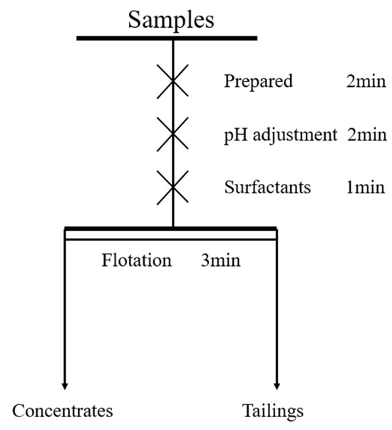 Influence of Different Types of Surfactants on the Flotation of Natural ...