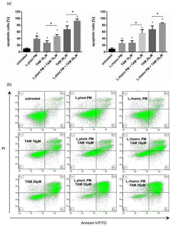 Lactic Acid Bacteria-Derived Postbiotics as Adjunctive Agents in Breast ...