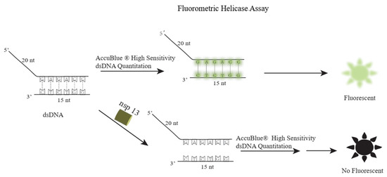 Development of a Fluorescent Assay and Imidazole-Containing Inhibitors by Targeting SARS-CoV-2 ...