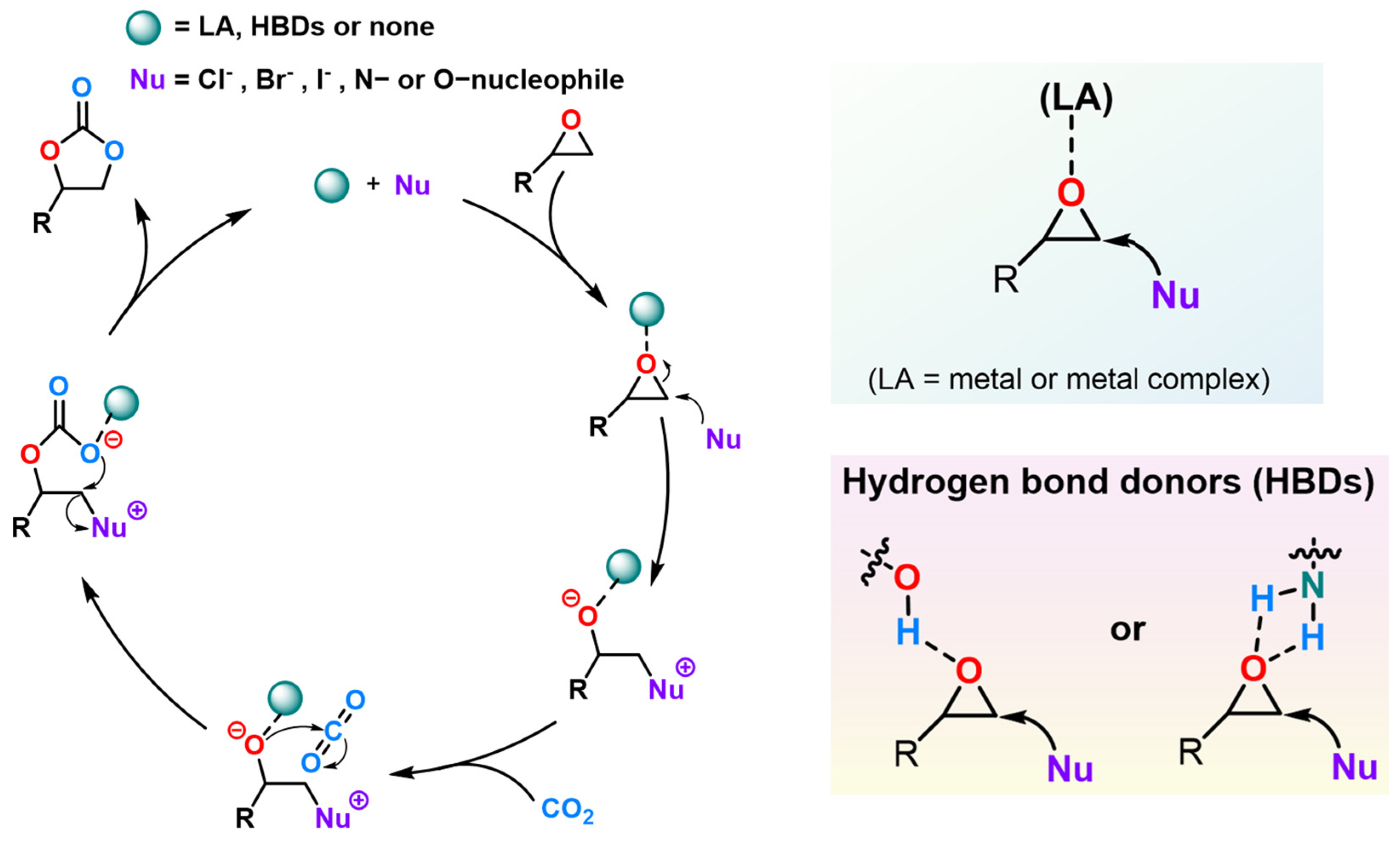 Molecules | Free Full-Text | Catalytic Strategies for the Cycloaddition of CO2 to Epoxides in ...