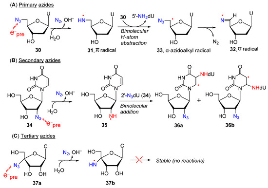 Nitrogen-Centered Radicals Derived from Azidonucleosides