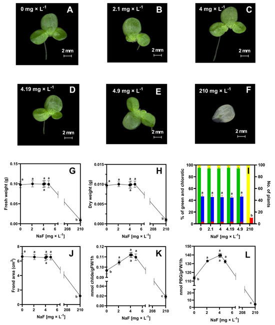 Changes in Metabolism and Content of Chlorophyll in Common Duckweed ...