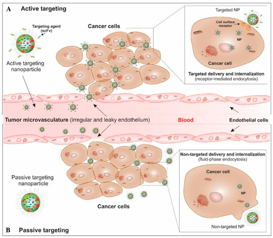Recent Advancements in Metallic Au- and Ag-Based Chitosan Nanocomposite ...