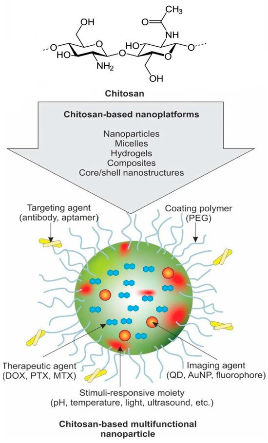 Recent Advancements in Metallic Au- and Ag-Based Chitosan Nanocomposite ...