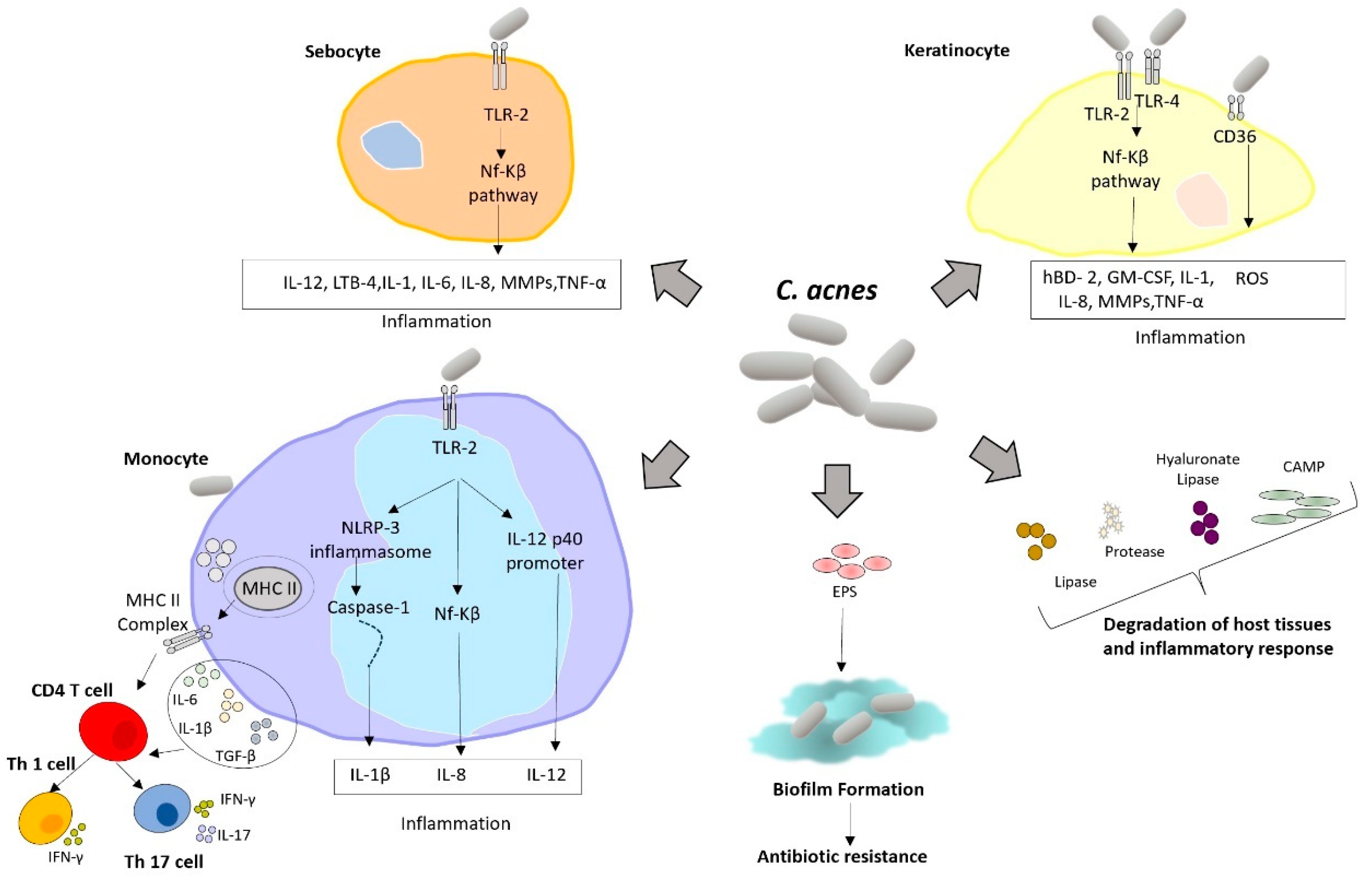 Molecules | Free Full-Text | Bioactive Compounds from Medicinal Plants ...