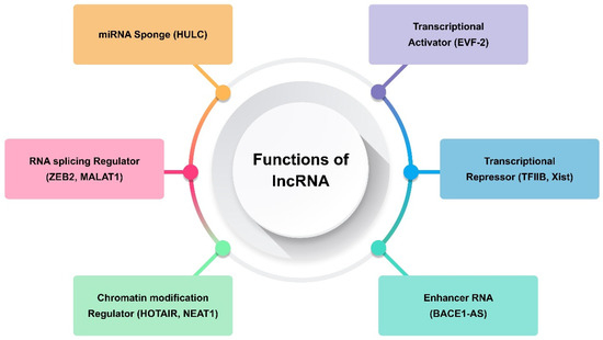 Molecules | Free Full-Text | Molecular and Therapeutic Roles of Non ...