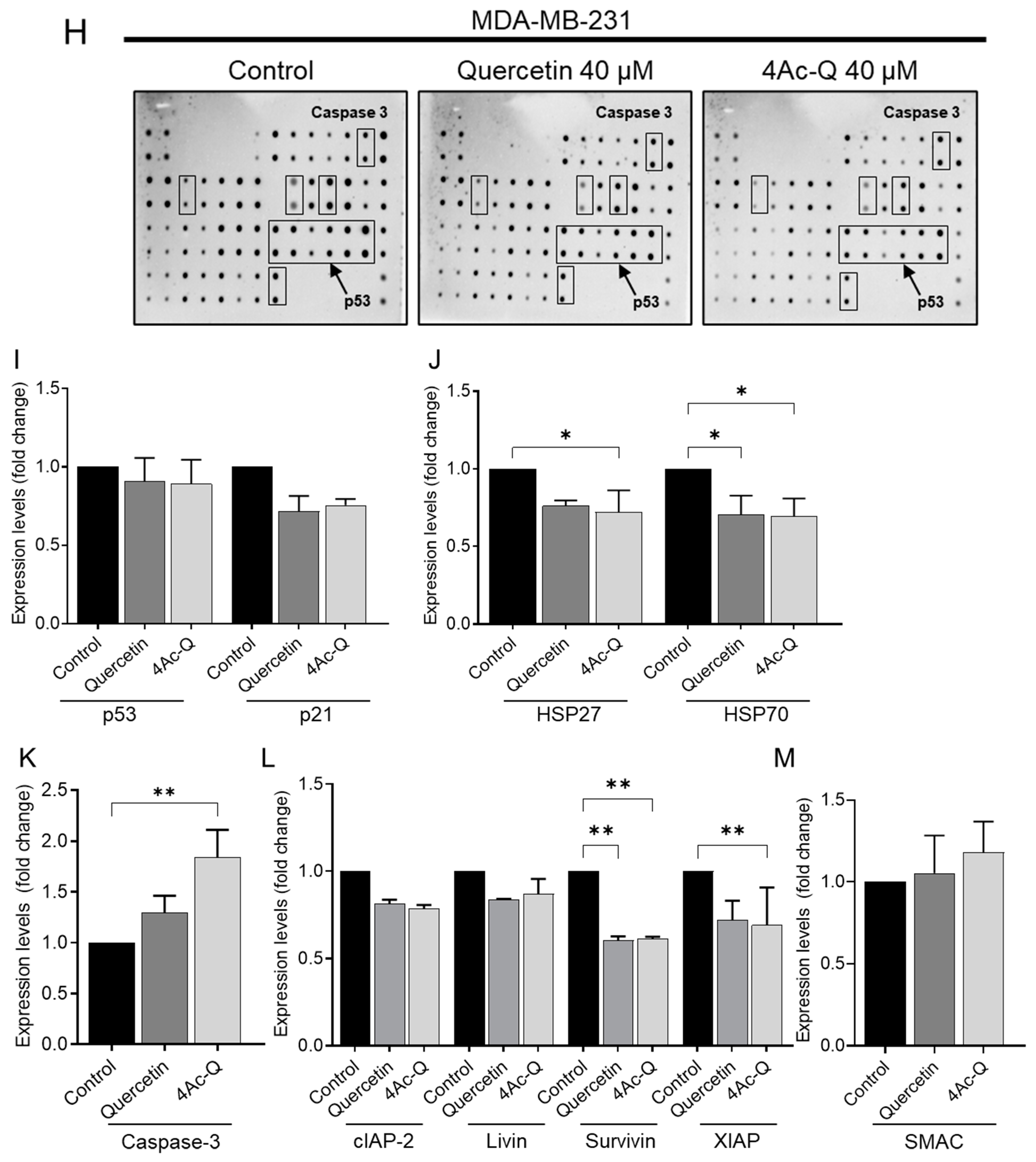 Anticancer Activity and Molecular Mechanisms of Acetylated and Methylated Quercetin in Human ...