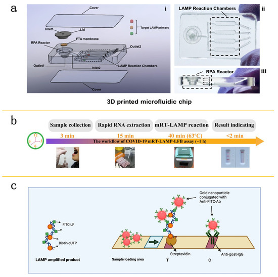 Advances in Nucleic Acid Assays for Infectious Disease: The Role of ...