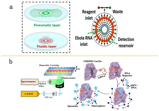 Advances in Nucleic Acid Assays for Infectious Disease: The Role of ...