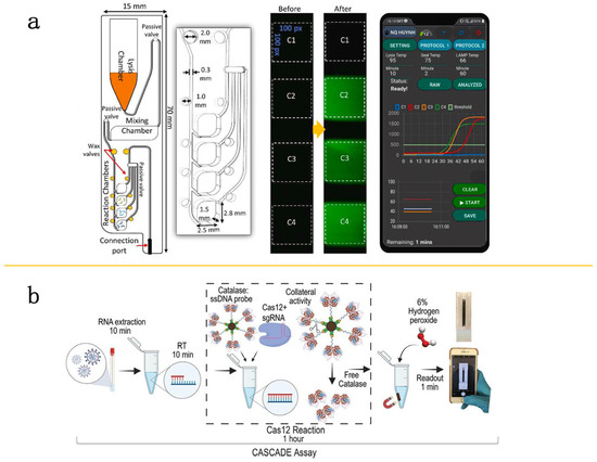 Advances in Nucleic Acid Assays for Infectious Disease: The Role of ...