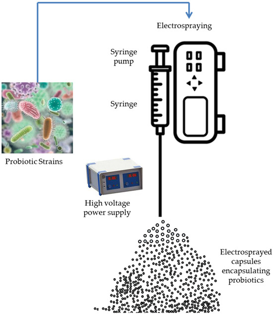 Encapsulation of Probiotics within Double/Multiple Layer Beads/Carriers ...