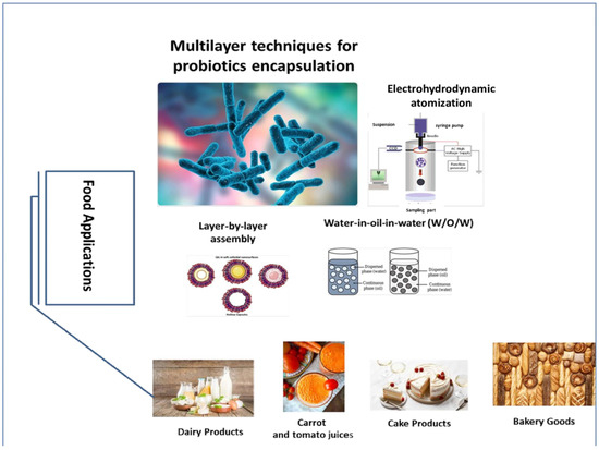Encapsulation of Probiotics within Double/Multiple Layer Beads/Carriers ...