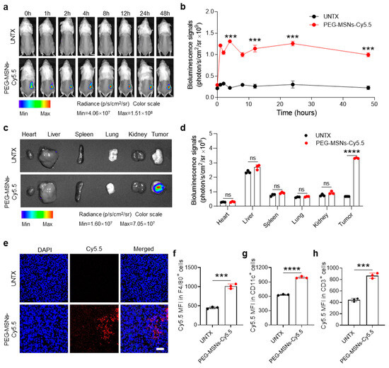 Drug-Loaded Mesoporous Silica Nanoparticles Enhance Antitumor ...