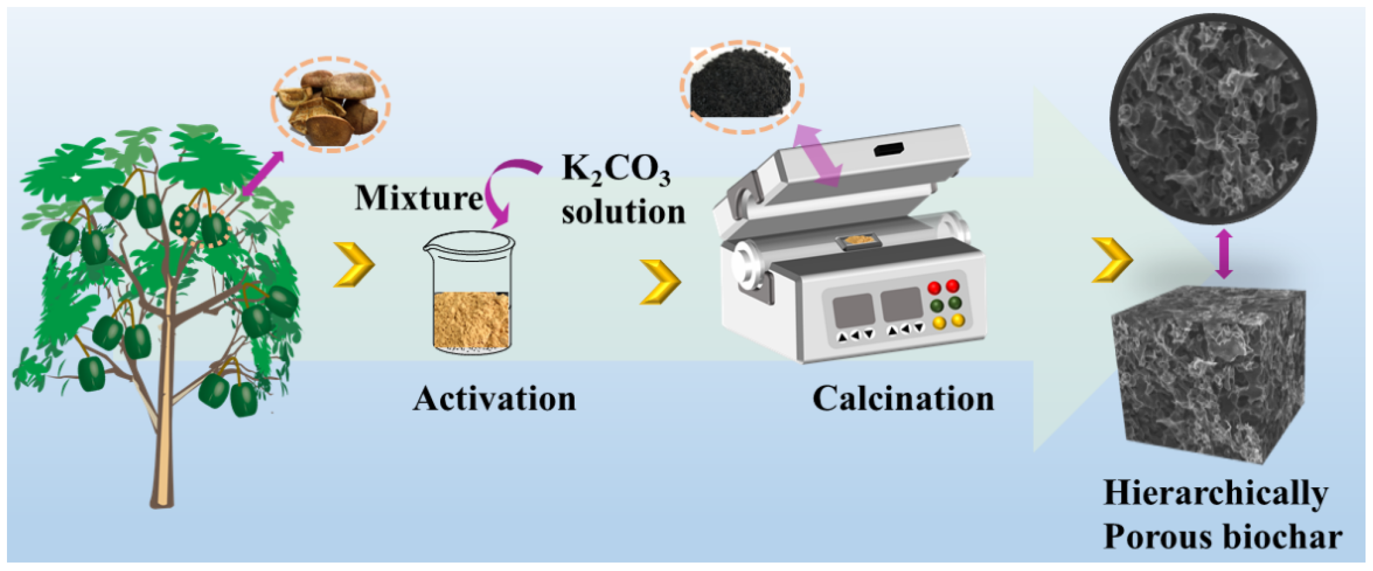 Facile Recycling of Waste Biomass for Preparation of Hierarchical Porous Carbon with High ...