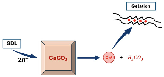 Encapsulation in Alginates Hydrogels and Controlled Release: An Overview