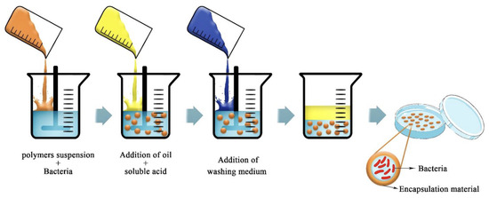 Encapsulation in Alginates Hydrogels and Controlled Release: An Overview