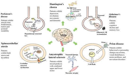The Biological Activity of Ganoderma lucidum on Neurodegenerative ...