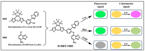 Recent Advances in Photoswitchable Fluorescent and Colorimetric Probes