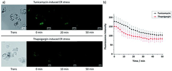Advances in Organic Fluorescent Probes for Intracellular Zn2+ Detection and Bioimaging
