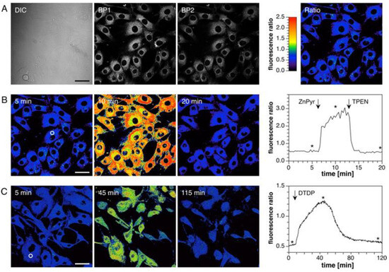 Advances in Organic Fluorescent Probes for Intracellular Zn2+ Detection and Bioimaging
