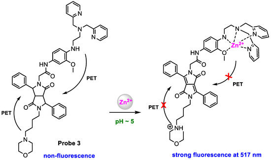 Advances in Organic Fluorescent Probes for Intracellular Zn2+ Detection and Bioimaging