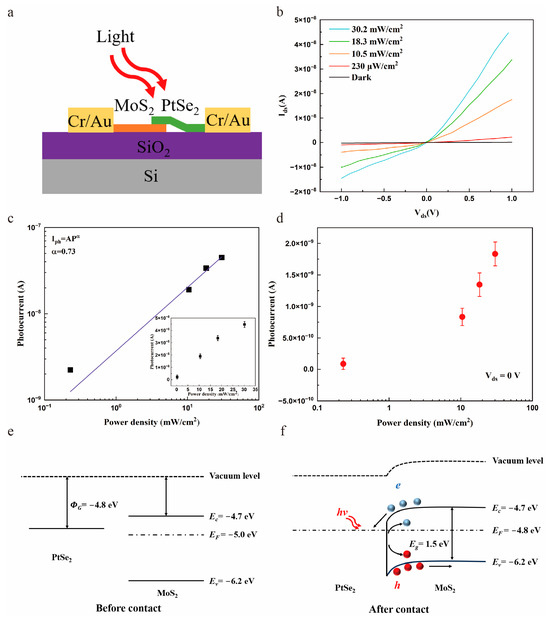 Highly Responsive and Self-Powered Photodetector Based on PtSe2/MoS2 Heterostructure