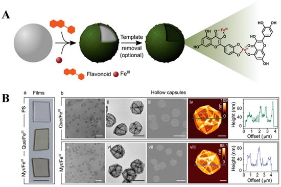 Metal–Flavonoid Interactions—From Simple Complexes to Advanced Systems
