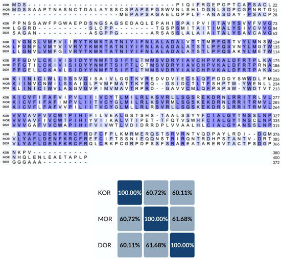 Decoding the κ Opioid Receptor (KOR): Advancements in Structural ...