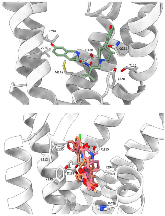 Decoding the κ Opioid Receptor (KOR): Advancements in Structural ...